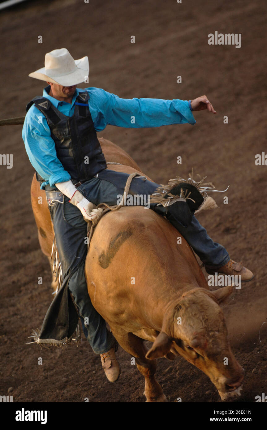 Cowboy riding a horse at a rodeo Stock Photo - Alamy