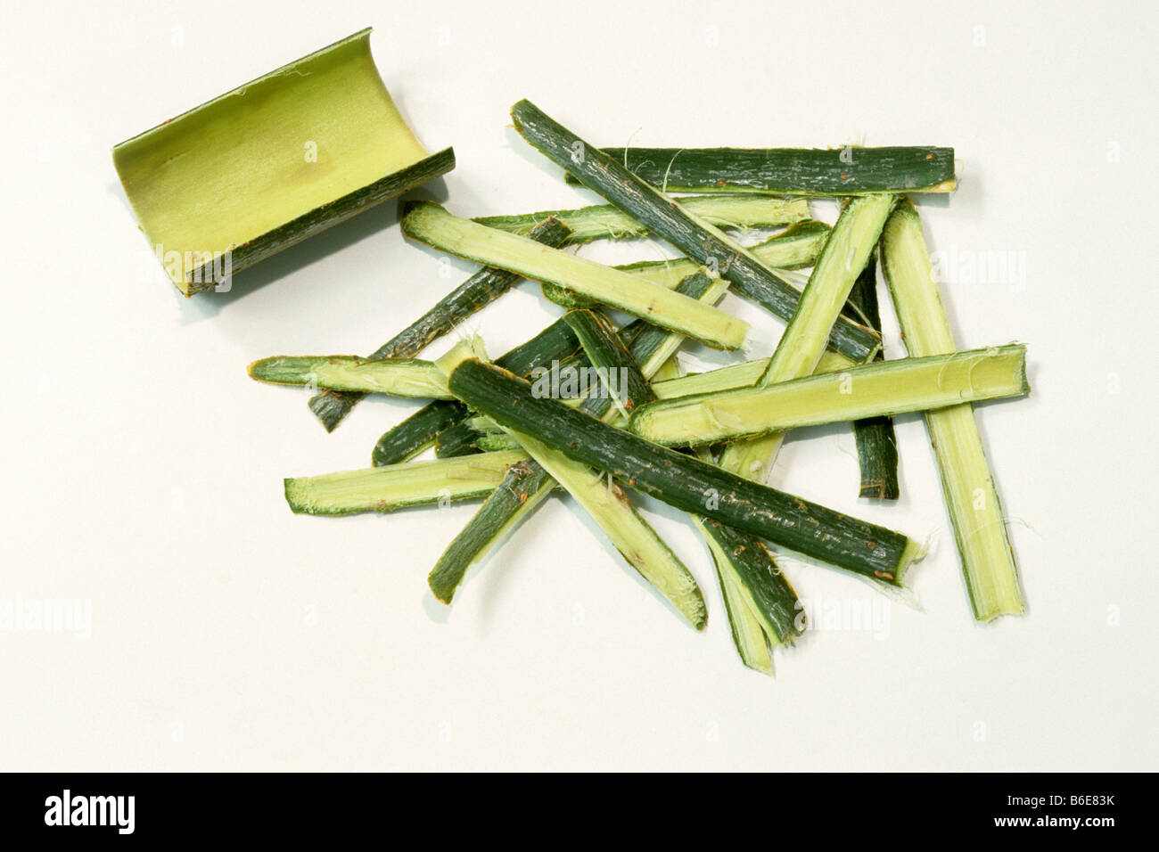 White willow tree bark medicine hi-res stock photography and images - Alamy