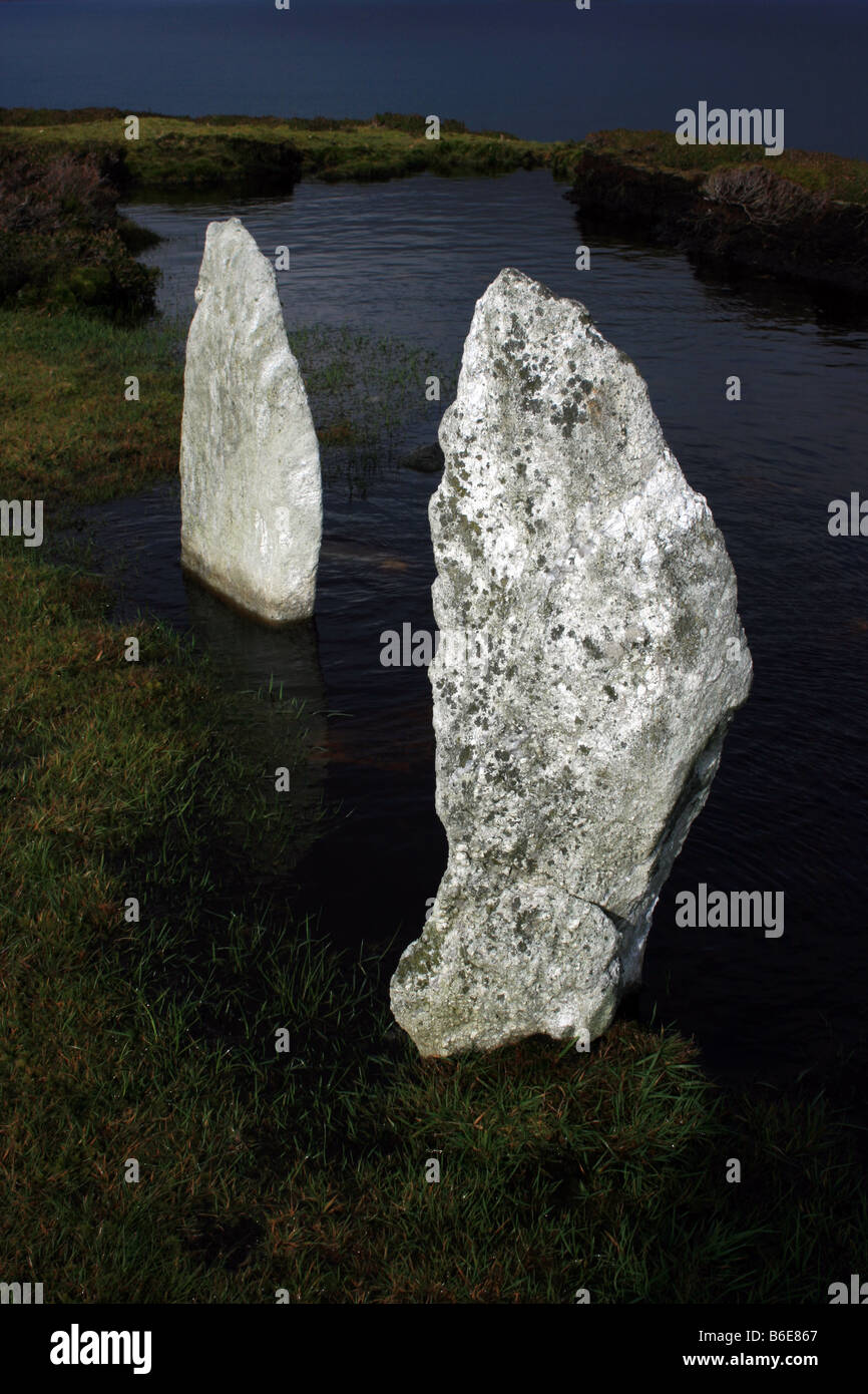 Two small standing stones, in a pool of water, on top of a hill ...