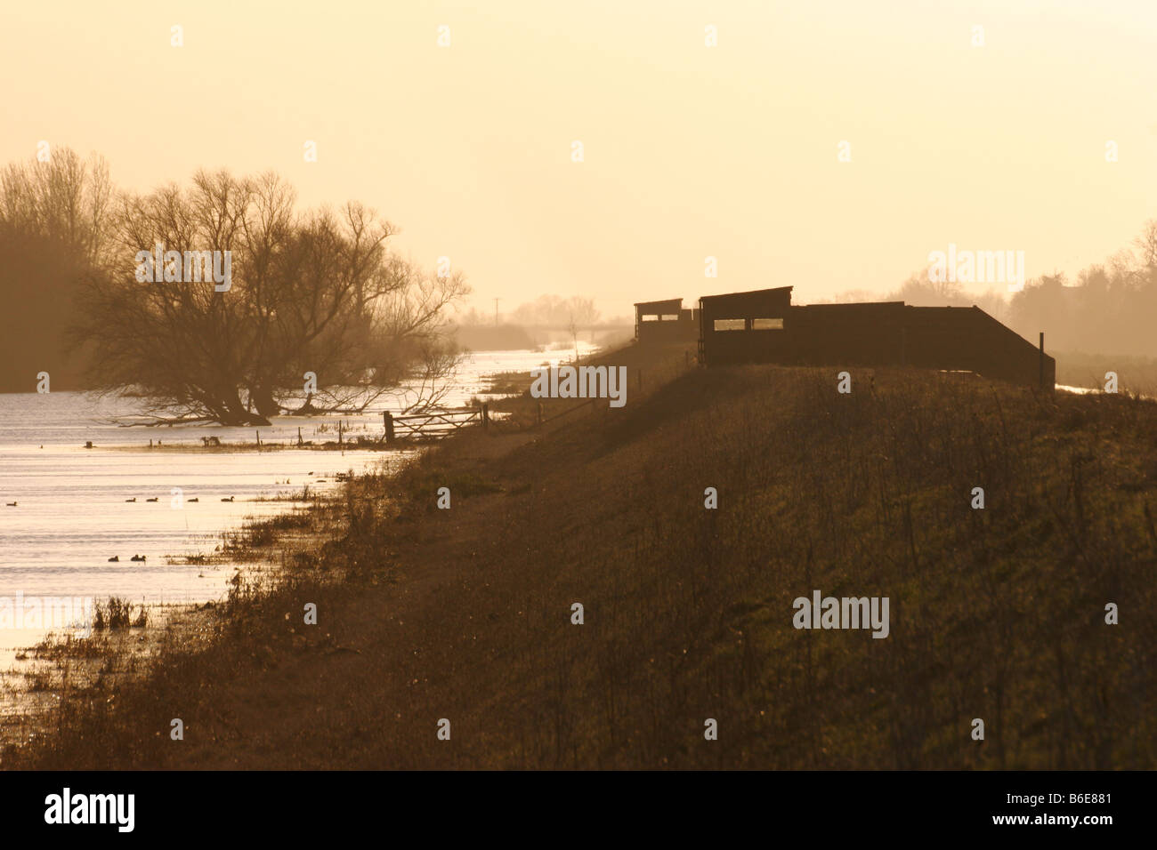 Ouse Washes RSPB Reserve at dusk, Cambridgeshire Stock Photo - Alamy