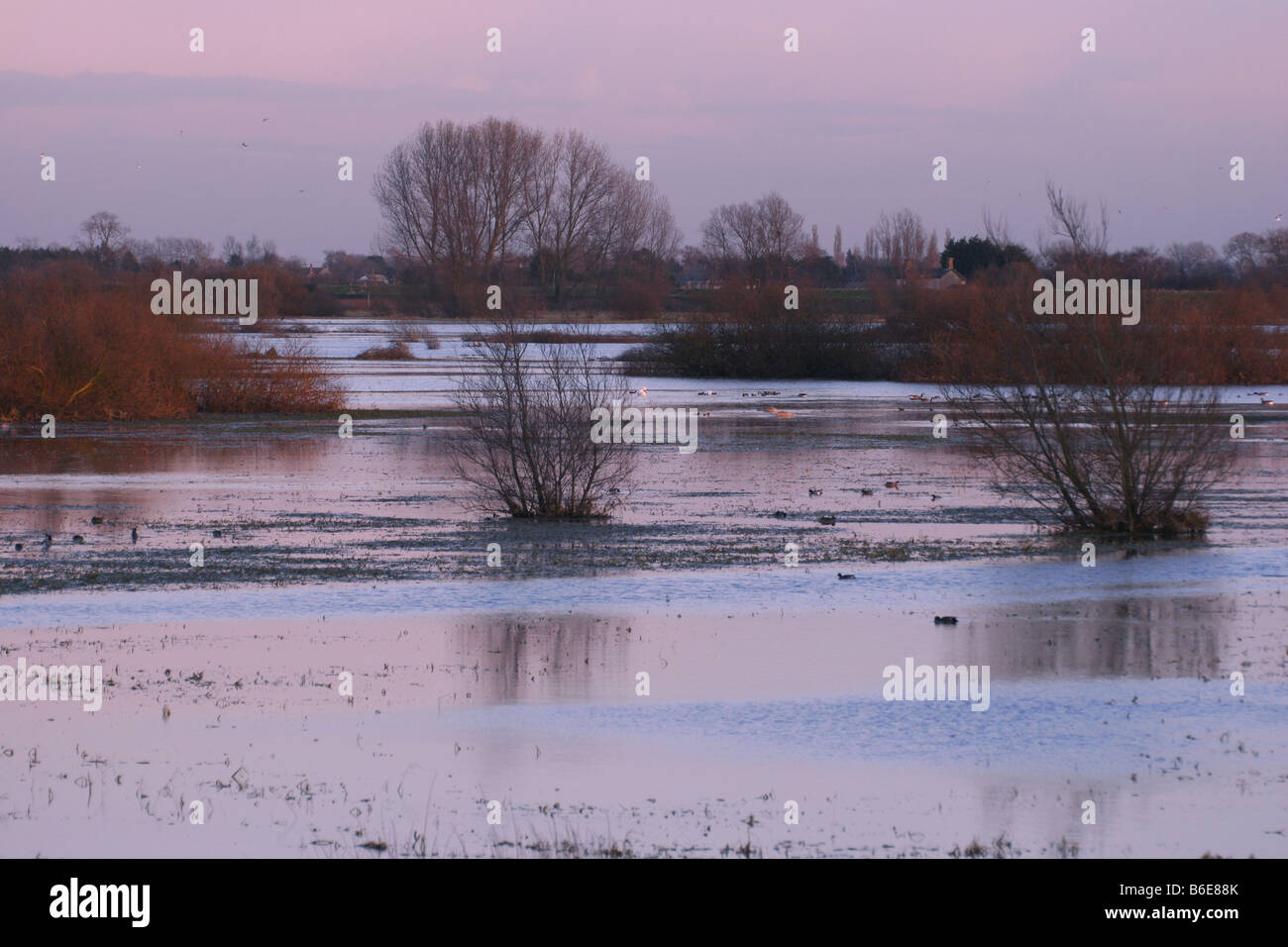 Ouse washes rspb hi-res stock photography and images - Alamy
