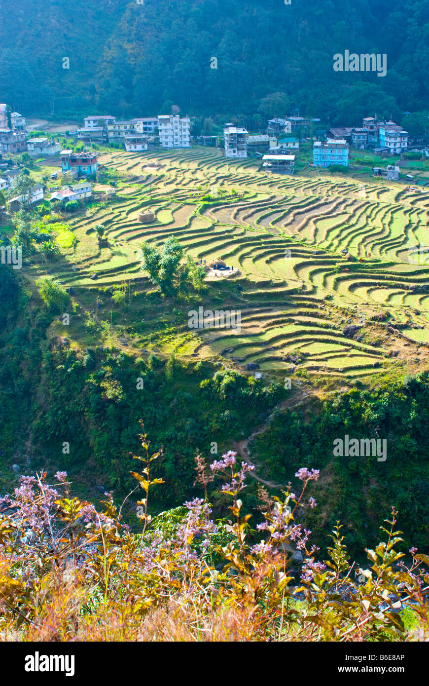 Sikkim village hi-res stock photography and images - Alamy