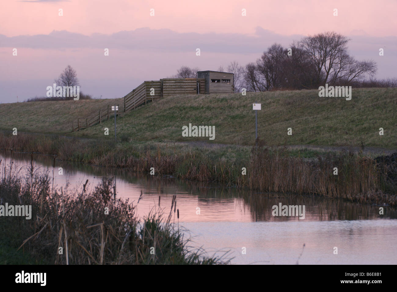 Ouse Washes RSPB Reserve at dusk, Cambridgeshire Stock Photo - Alamy