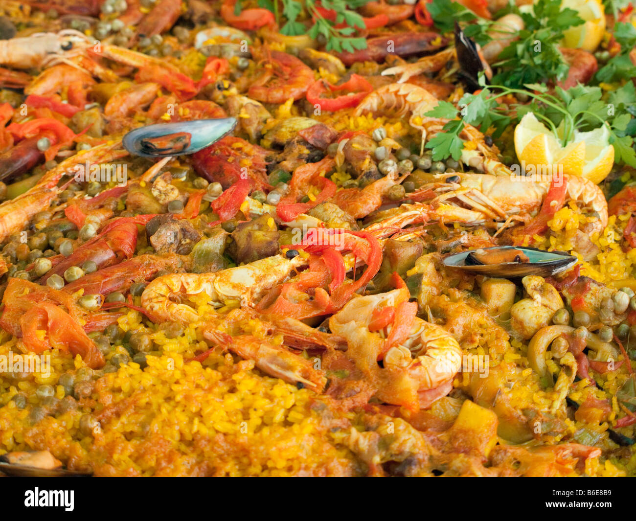 Close up of traditional Spanish dish, paella Stock Photo - Alamy