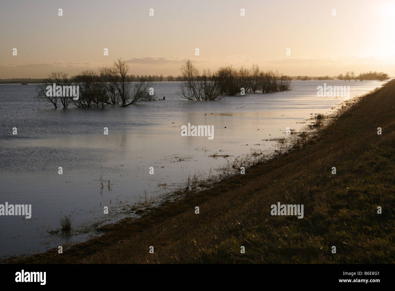Ouse washes rspb hi-res stock photography and images - Alamy