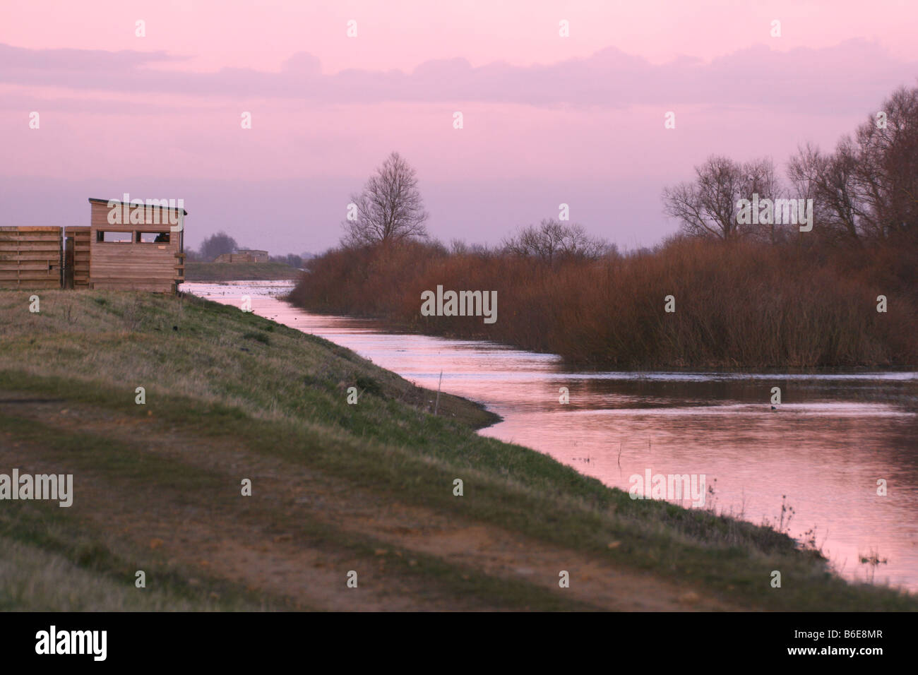 Ouse Washes RSPB Reserve at dusk, Cambridgeshire Stock Photo - Alamy