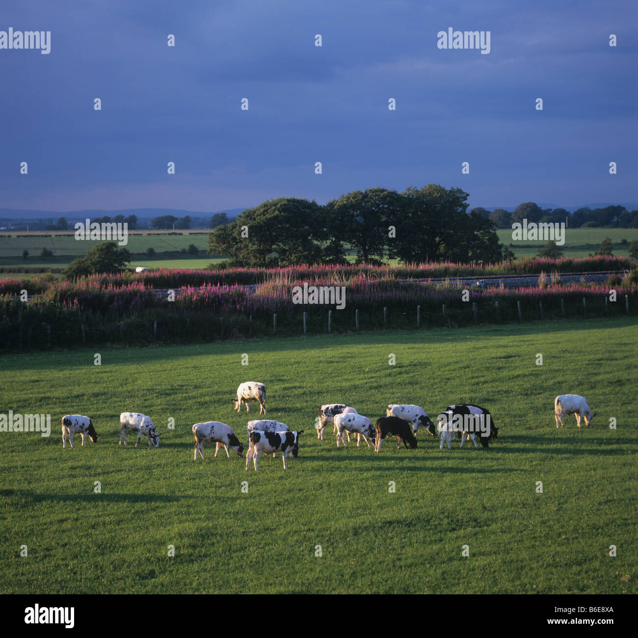 Borders railway hi-res stock photography and images - Alamy