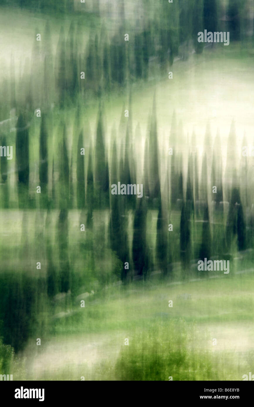 aerial view of abstract tree lined landscape in italy Stock Photo - Alamy