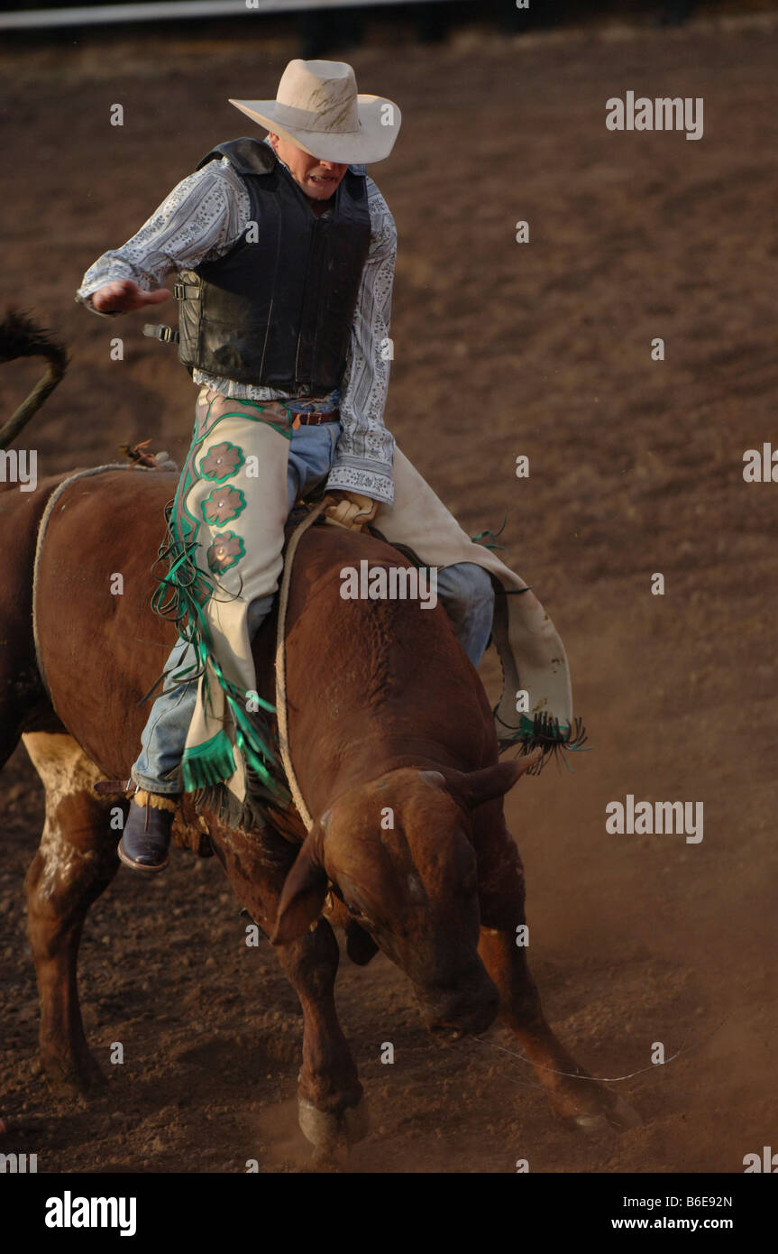 Cowboy riding a horse at a rodeo Stock Photo - Alamy