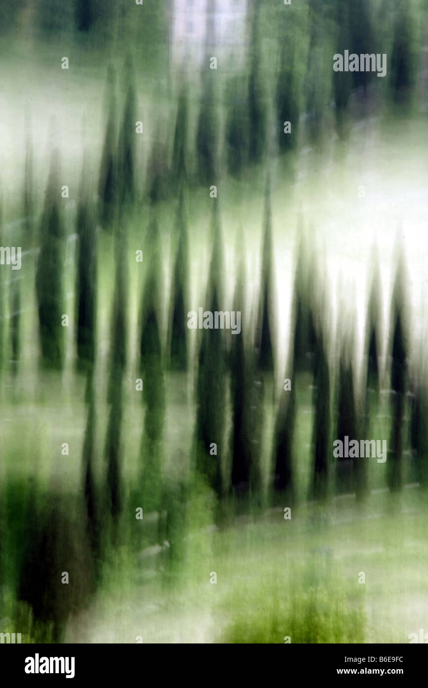 aerial view of abstract tree lined landscape in italy Stock Photo - Alamy