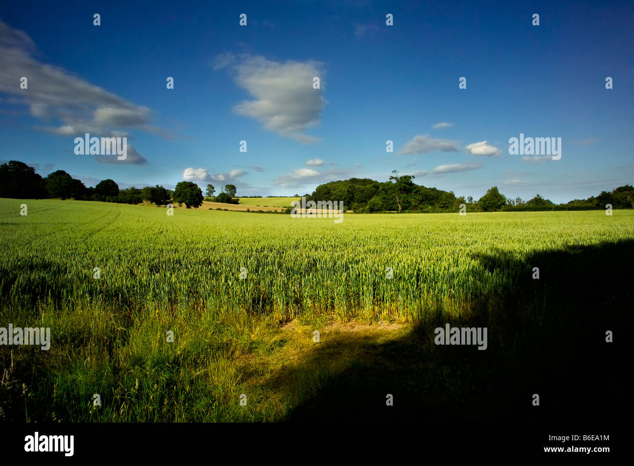 Flatfordl hi-res stock photography and images - Alamy