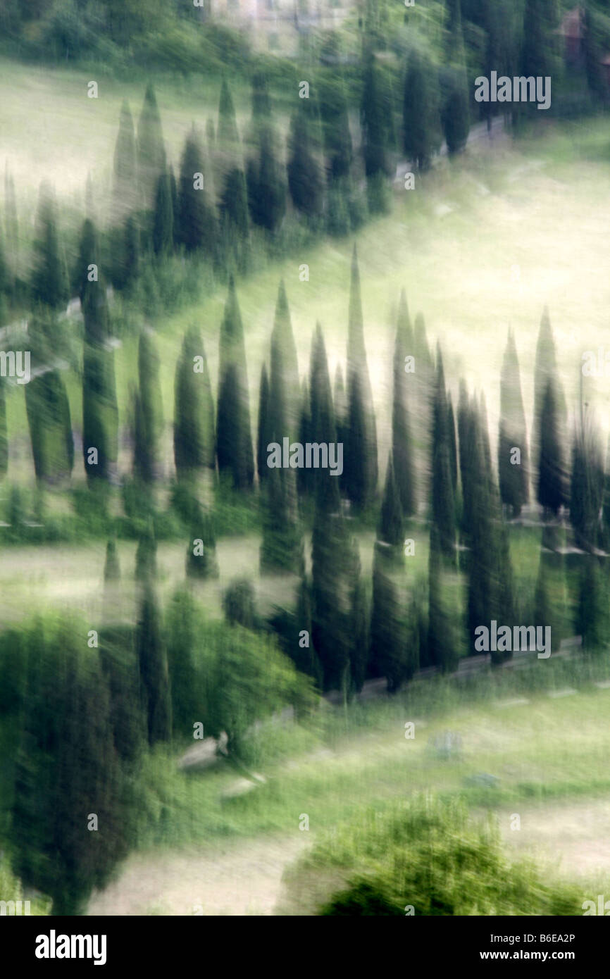 aerial view of abstract tree lined landscape in italy Stock Photo - Alamy