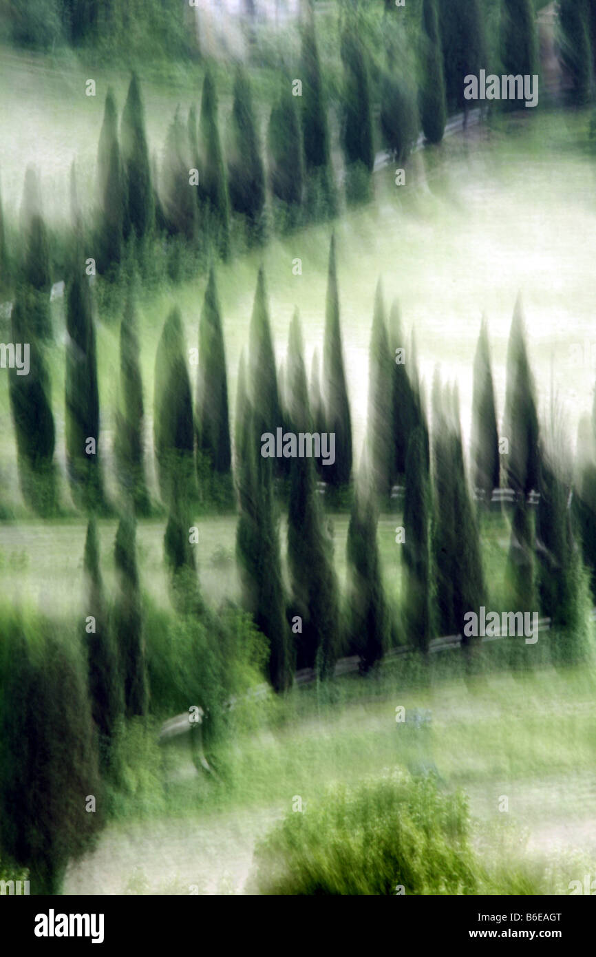 aerial view of abstract tree lined landscape in italy Stock Photo - Alamy