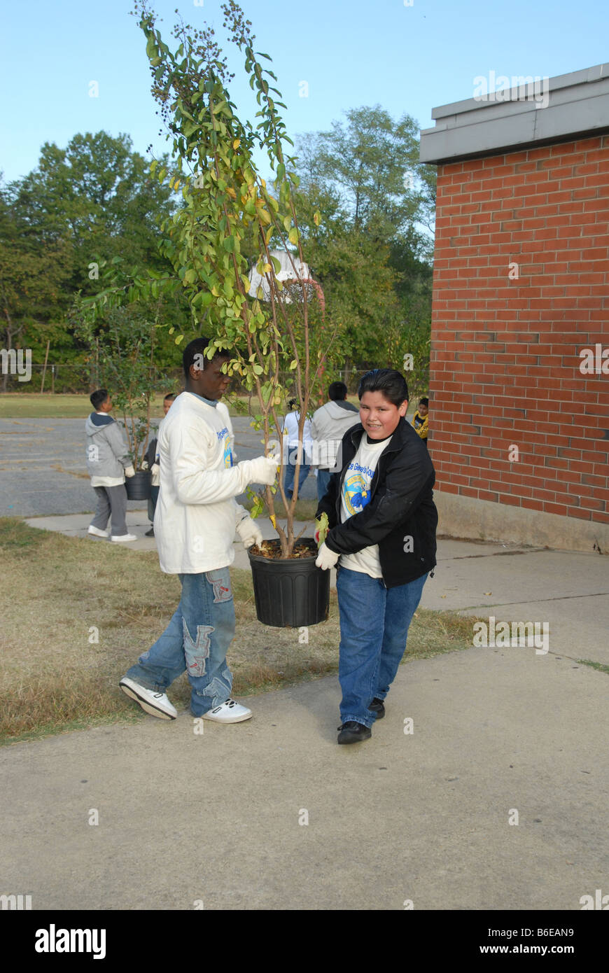 Teenagers planting tree hi-res stock photography and images - Alamy