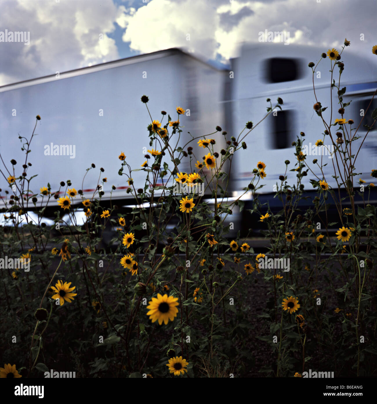 Truck flowers hi-res stock photography and images - Alamy