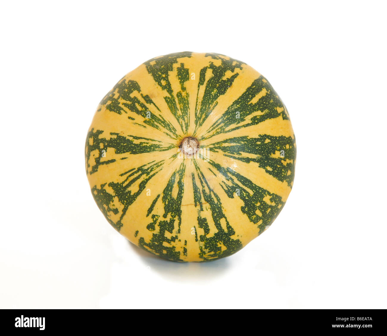 Yellow and green striped pumpkin on white background Stock Photo - Alamy
