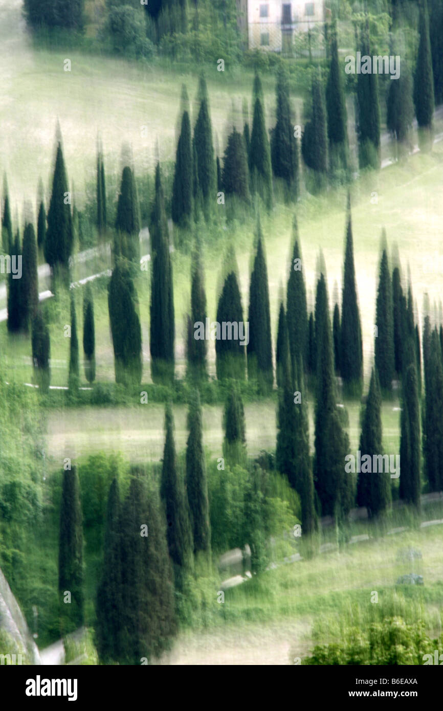 aerial view of abstract tree lined landscape in italy Stock Photo - Alamy