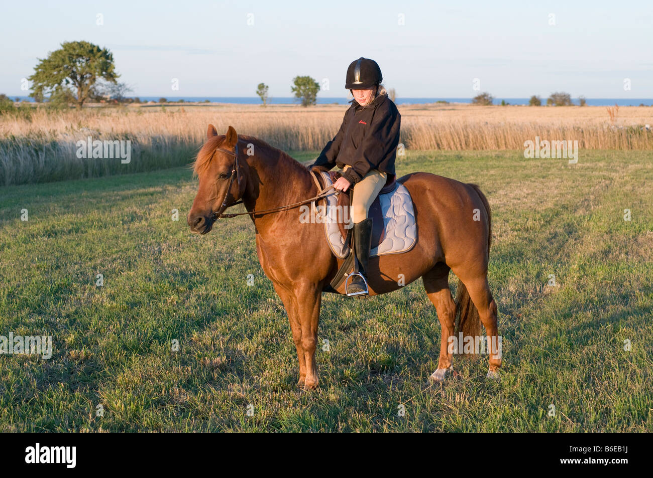 Girlriding her pony Stock Photo - Alamy