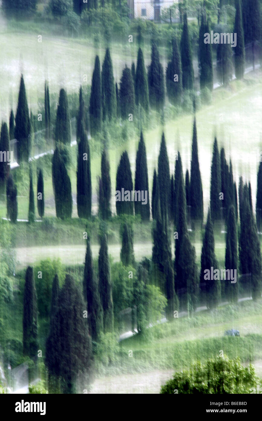 aerial view of abstract tree lined landscape in italy Stock Photo - Alamy