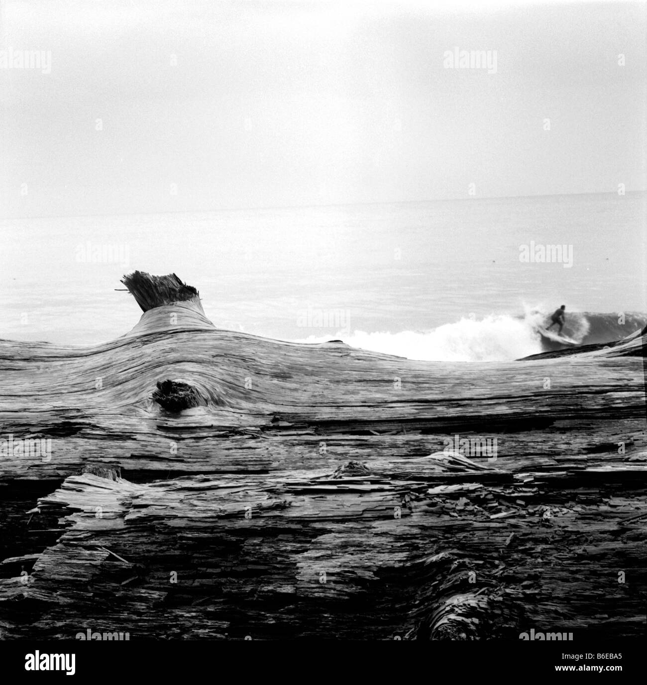 A surfer rides the wave in Seaside, Oregon Stock Photo - Alamy