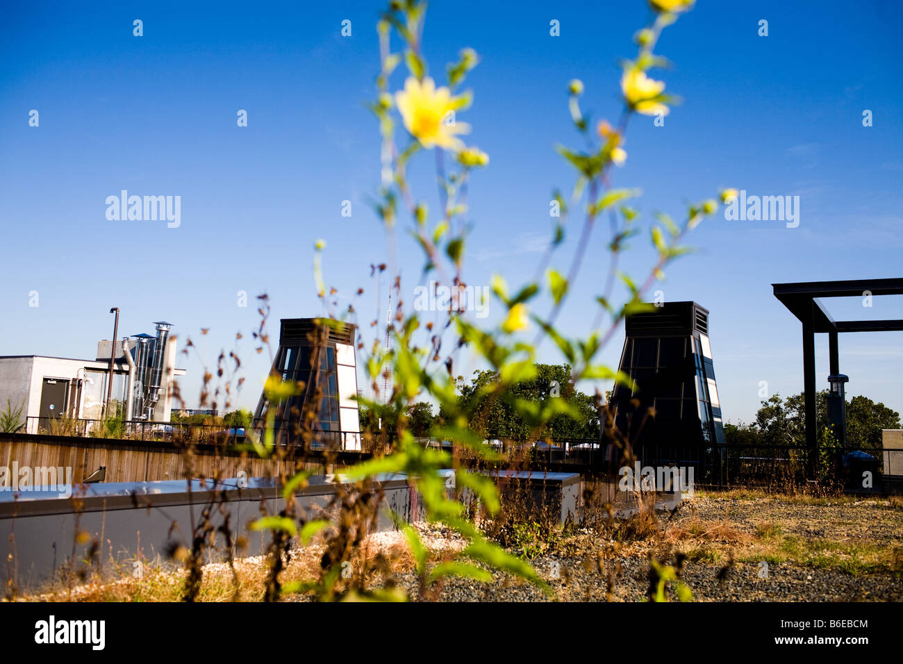 Solar chimneys mounted on the green roof of the Middle School Building ...