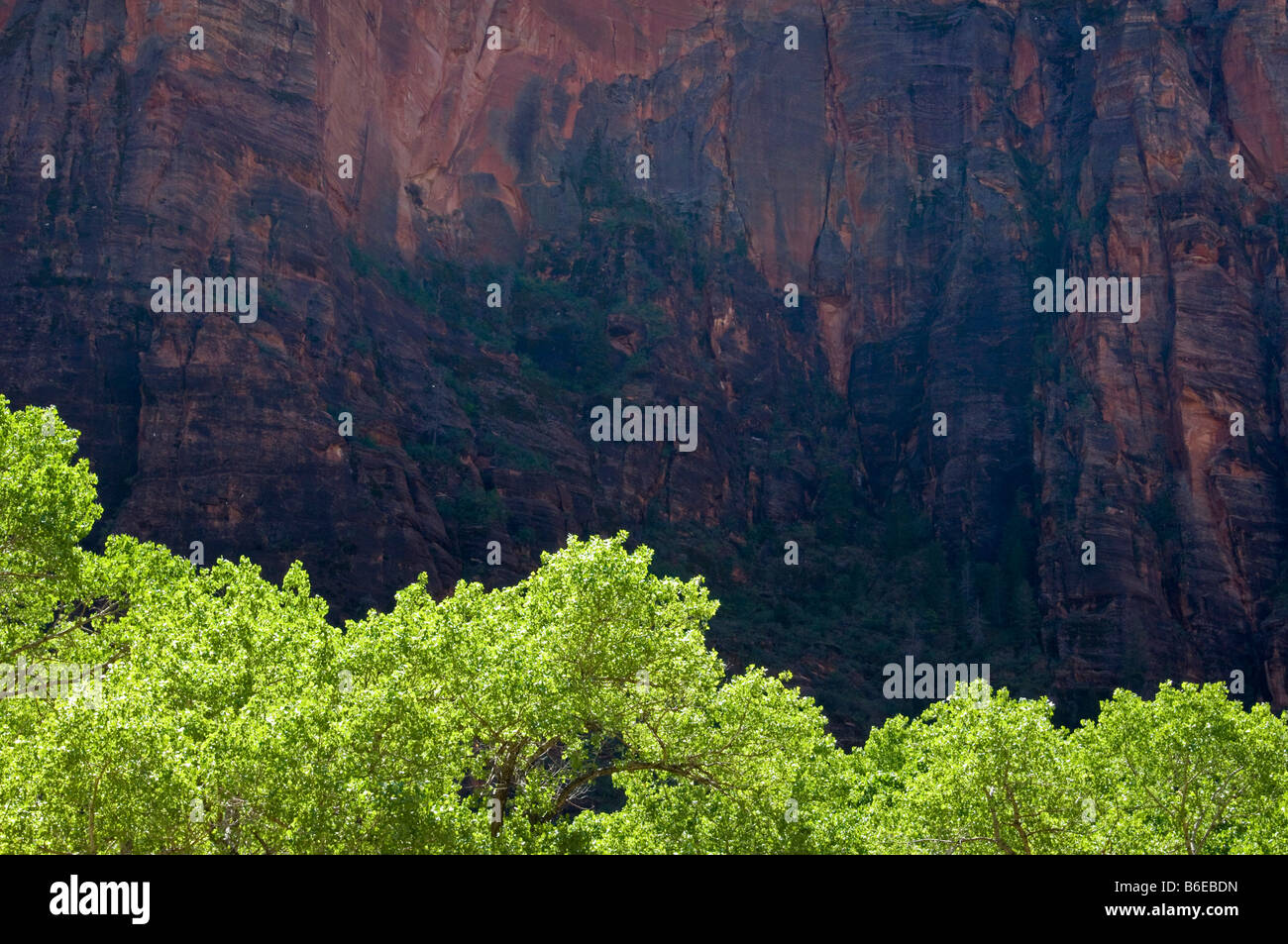 View of the red sandstone walls of Zion National Park in Utah Stock ...