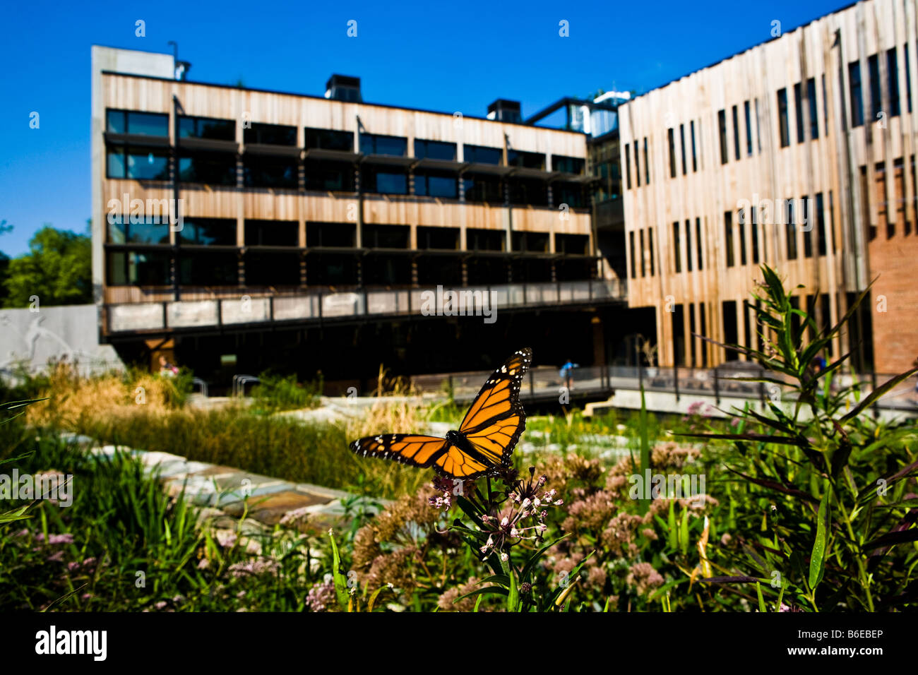 Sidwell Friends School