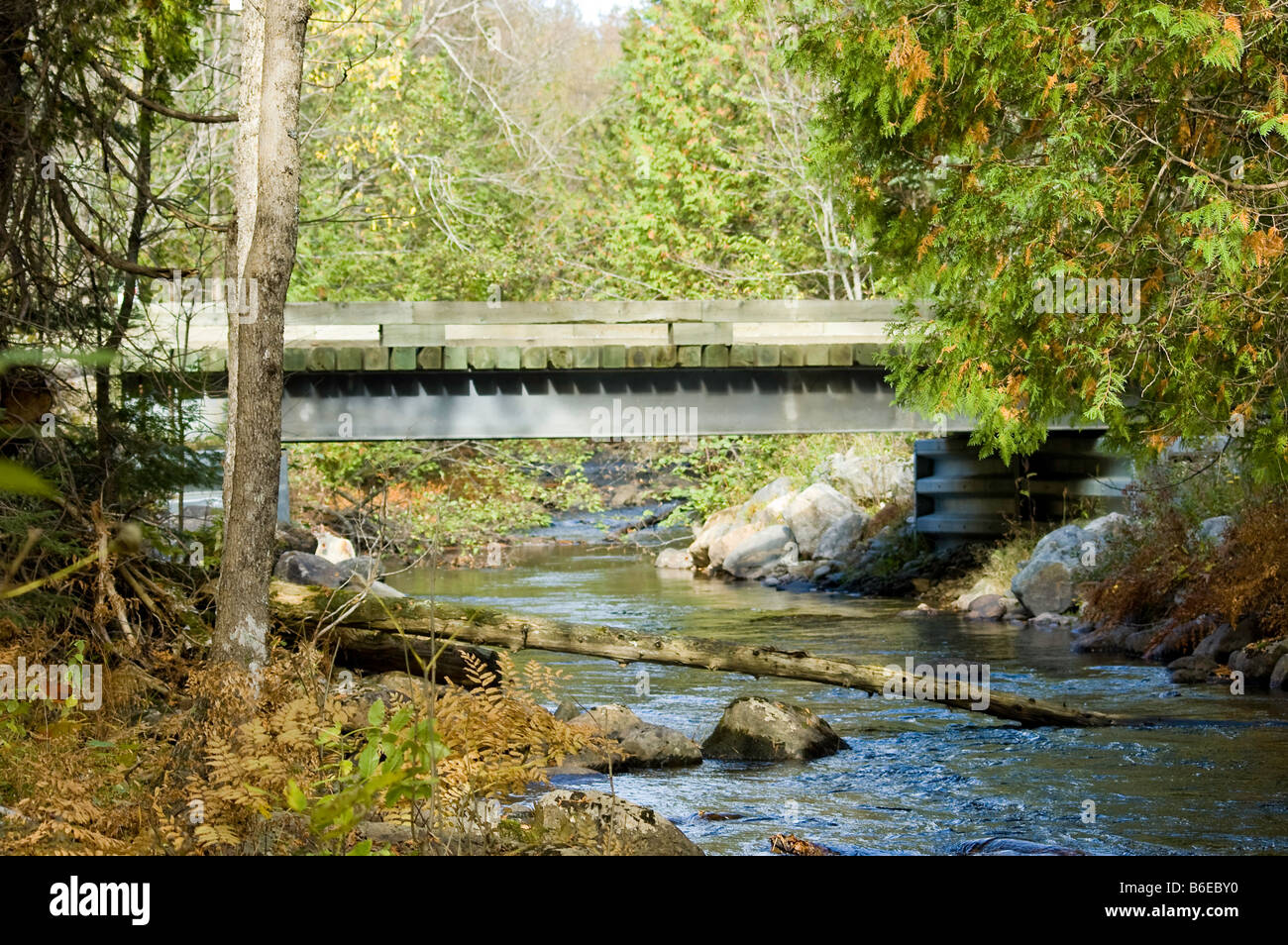 river with bridge in Quebec forest Stock Photo - Alamy