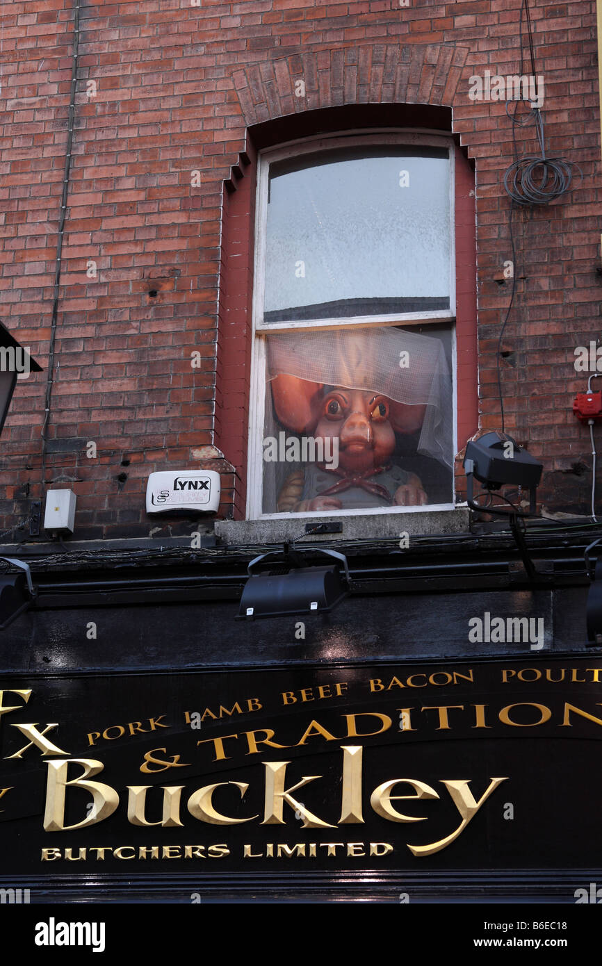 A pig staring out of the window of a butcher's shop in the city of ...