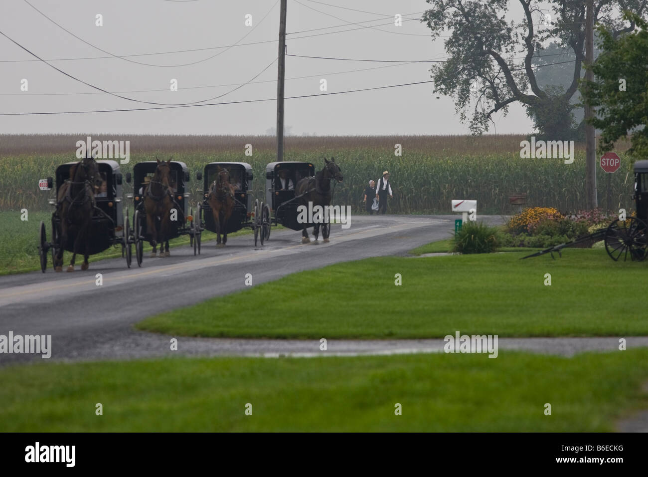 Amish coming for prayer Stock Photo - Alamy