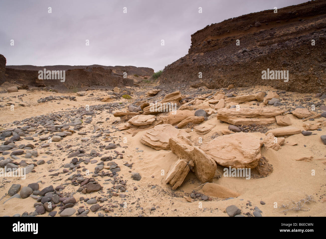 Africa Namibia Skeleton Coast Wilderness River sand and eroded desert ...