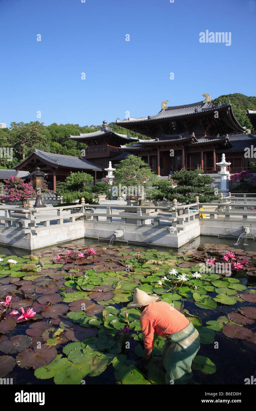 Lin chi hi-res stock photography and images - Alamy