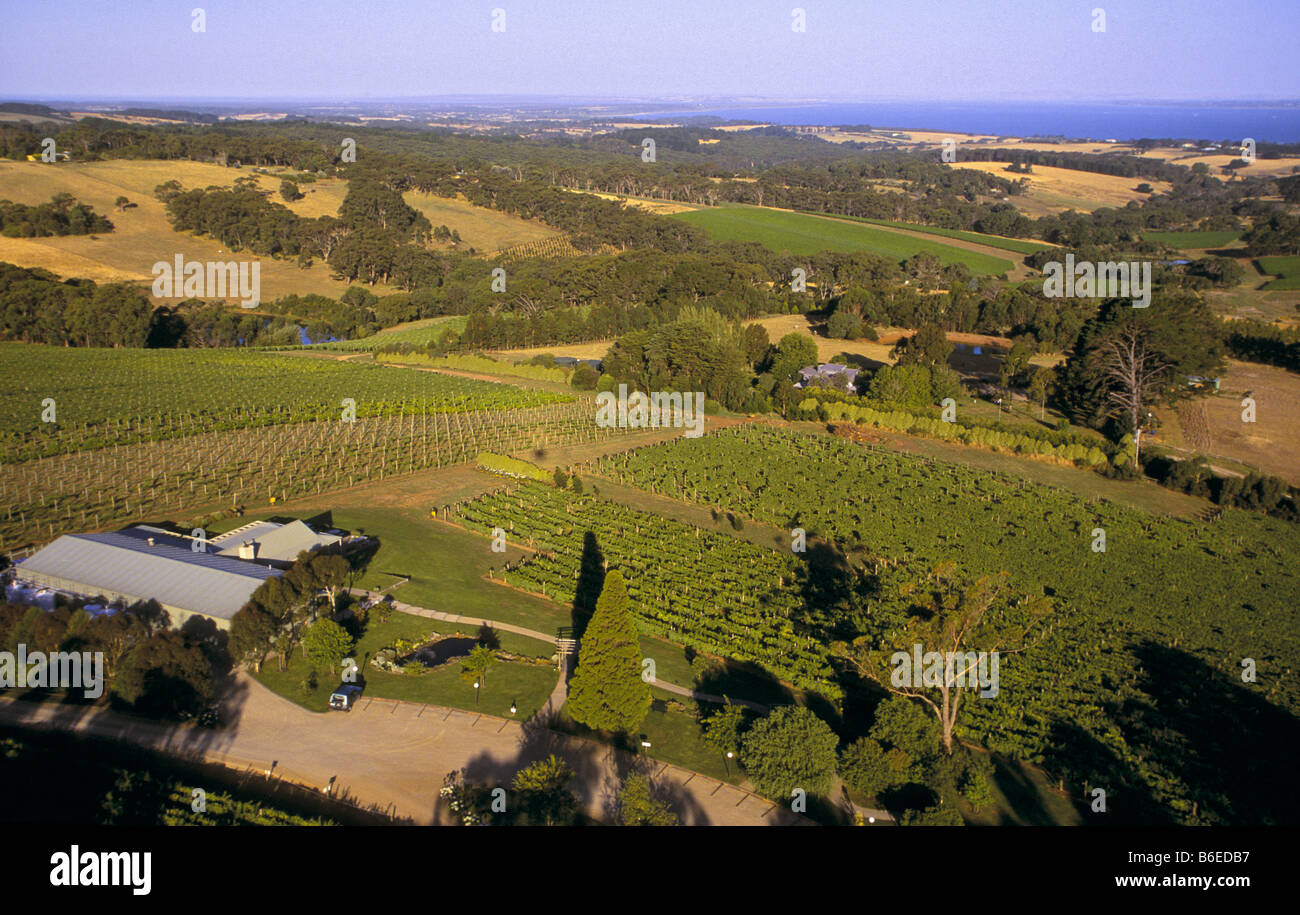 Australia viniculture viticulture hi-res stock photography and images ...