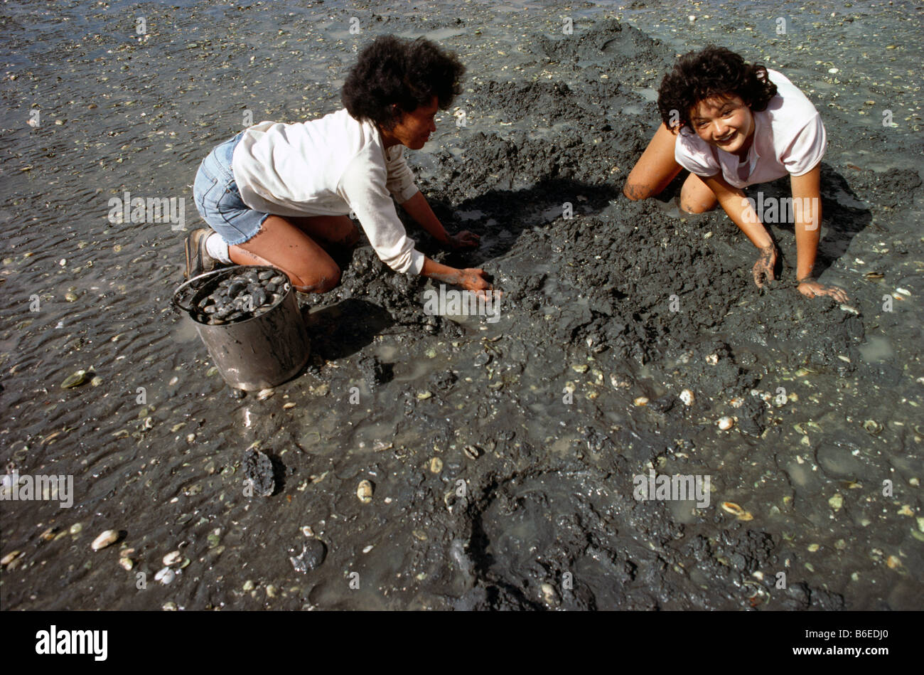 Maori children hi-res stock photography and images - Alamy
