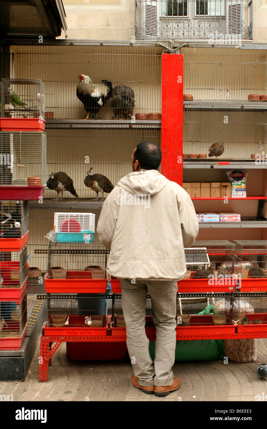 Pet Stall High Resolution Stock Photography and Images - Alamy
