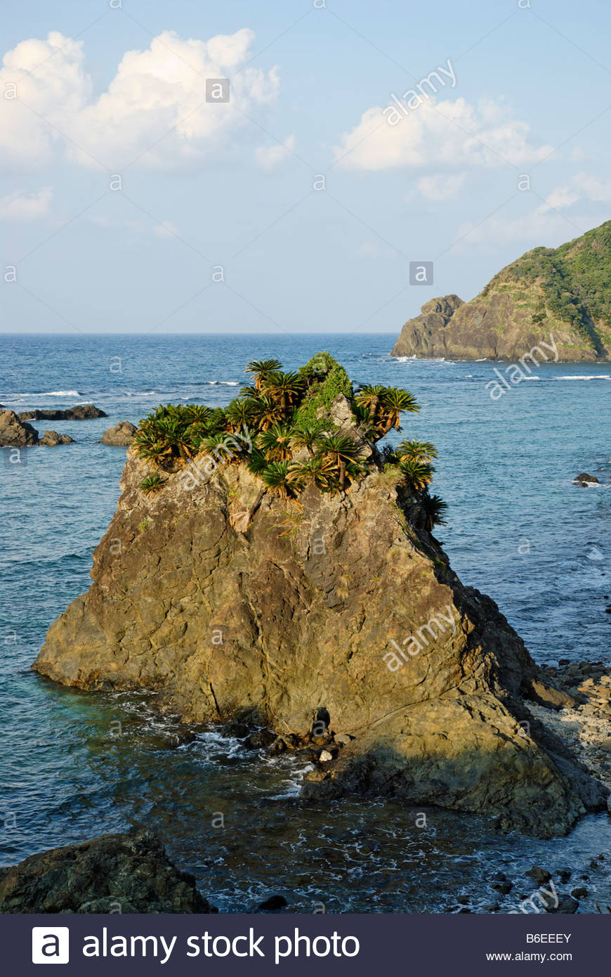 Amami Oshima Island High Resolution Stock Photography and Images - Alamy