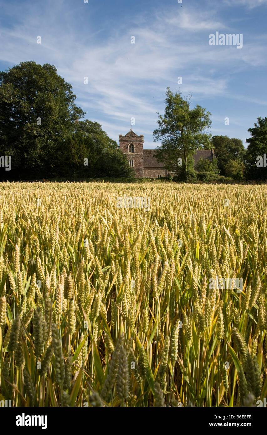 Woolaston hi-res stock photography and images - Alamy
