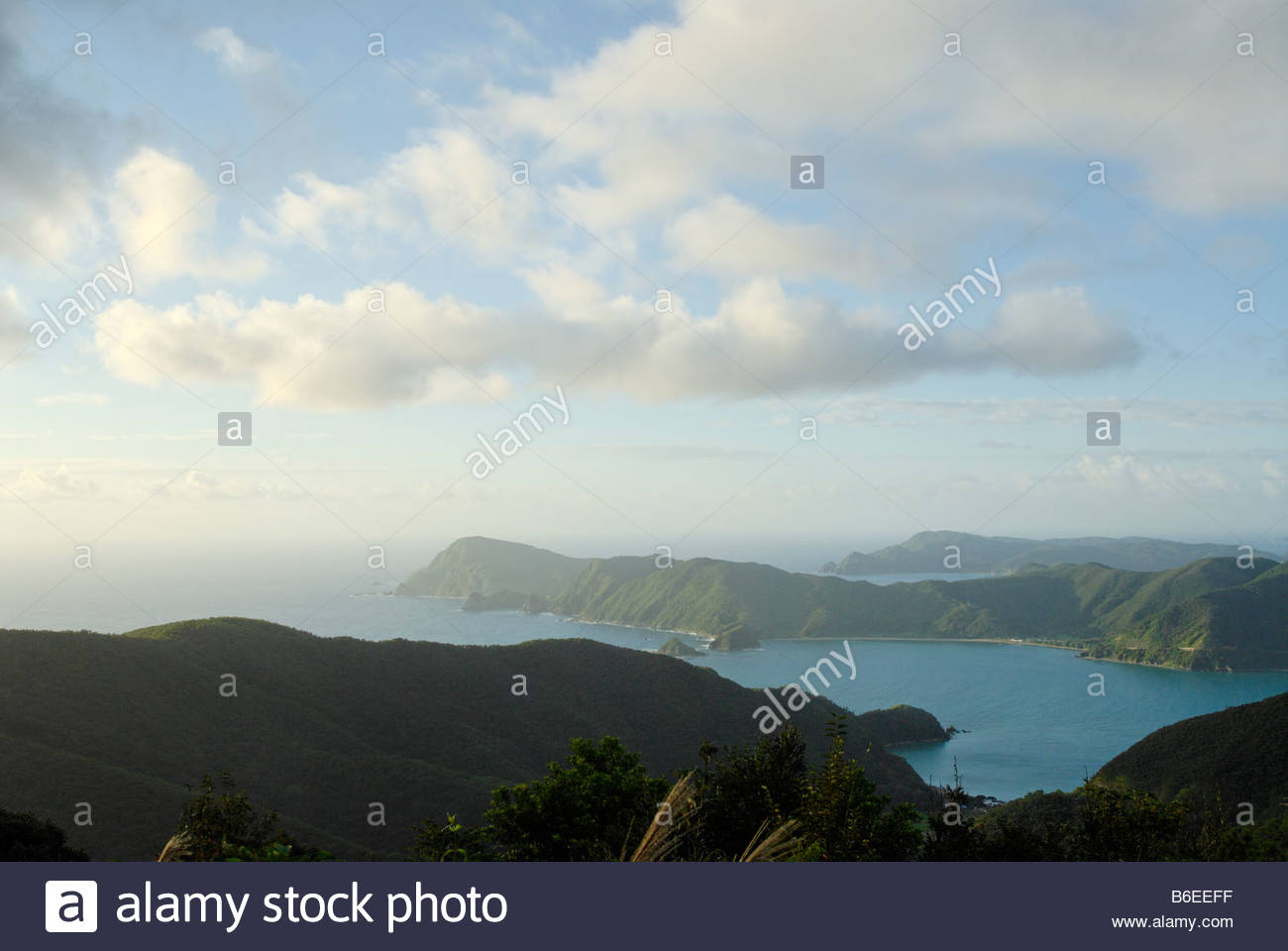 Amami Oshima Island High Resolution Stock Photography and Images - Alamy