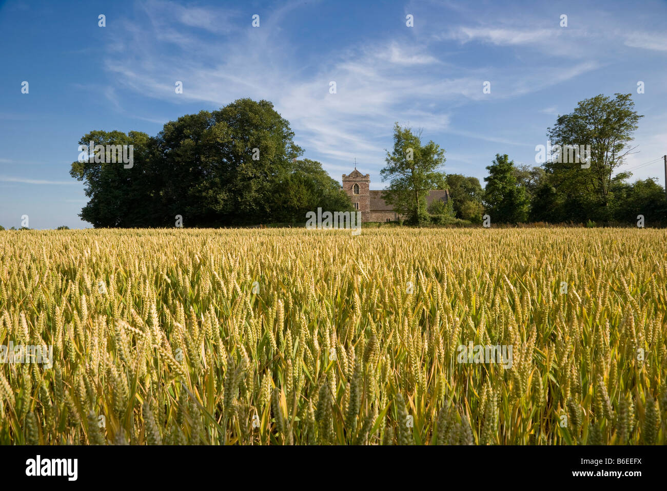 Woolaston hi-res stock photography and images - Alamy