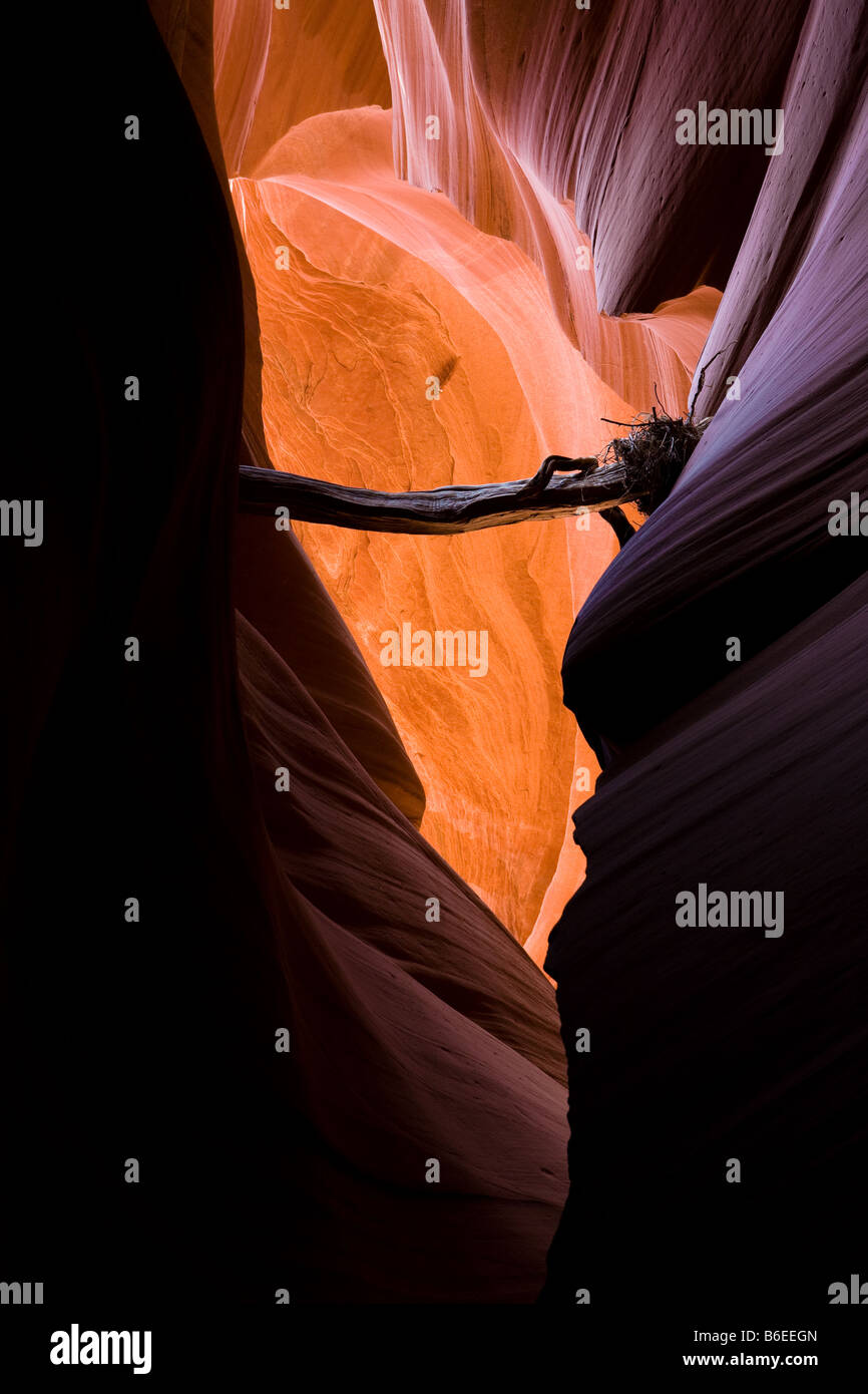 Canyon sides hi-res stock photography and images - Alamy