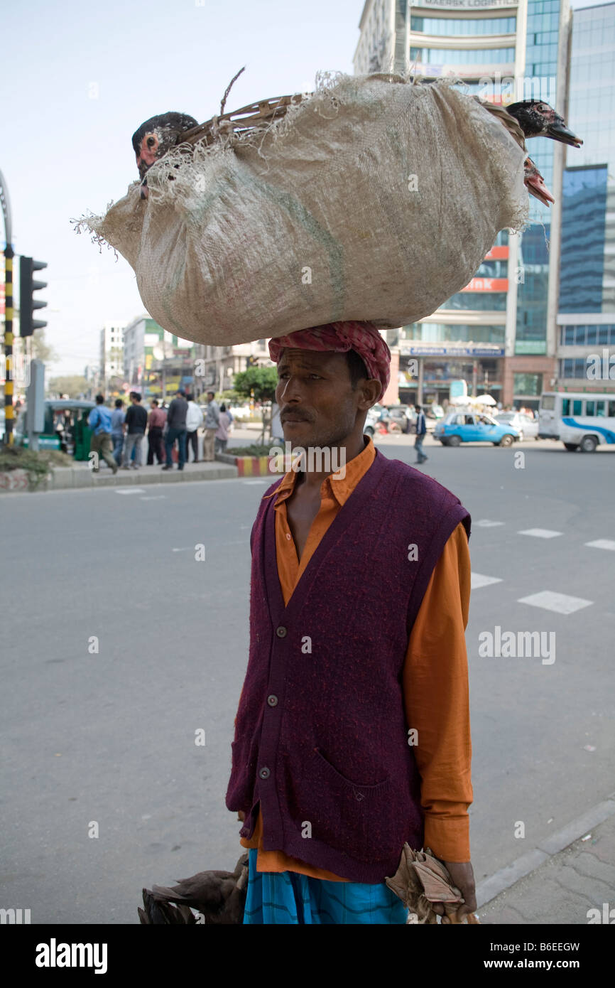 A man carrying geese in Dhaka Stock Photo - Alamy