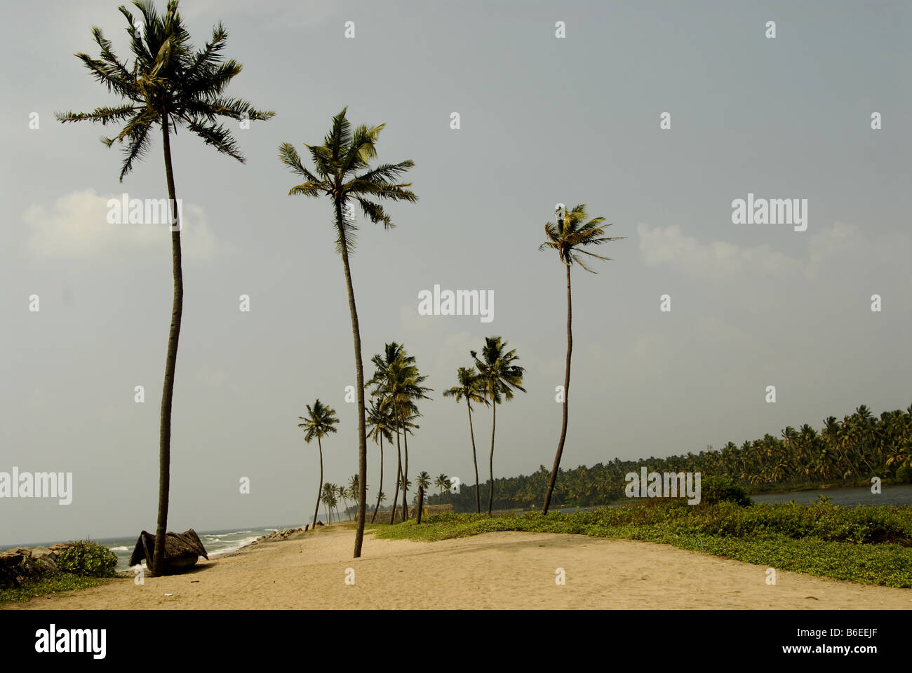 kappil lake kerala Stock Photo - Alamy