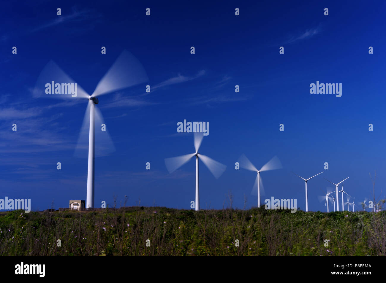 Wind in motion hi-res stock photography and images - Alamy