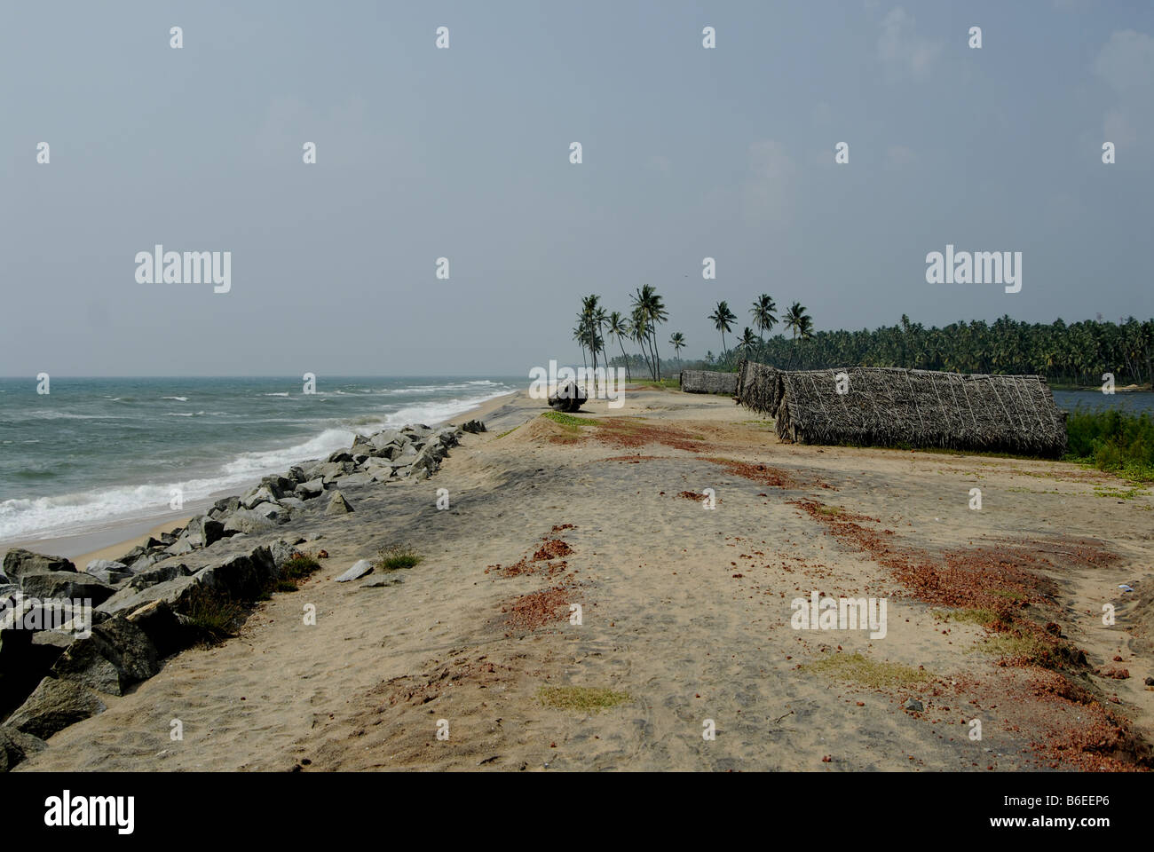 Kappil lake, sea ,kerala Stock Photo - Alamy