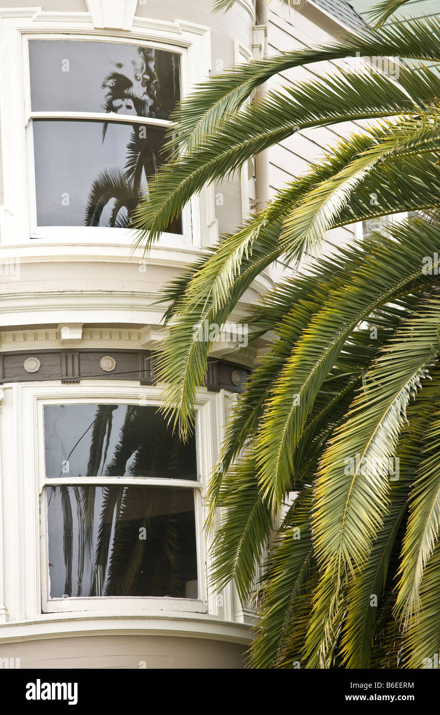 Tropical palm fronds hi-res stock photography and images - Alamy