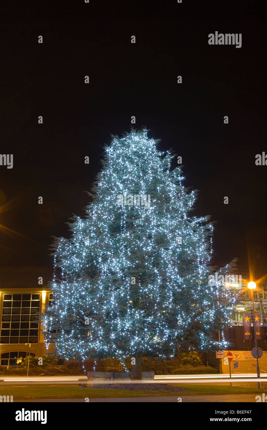 Lit night tree hi-res stock photography and images - Alamy