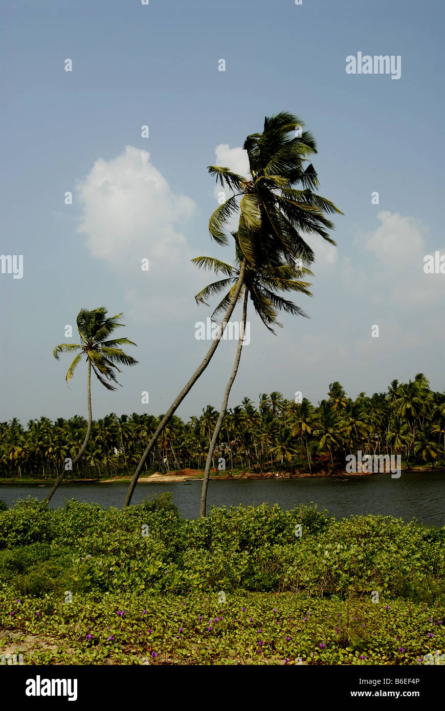 Kappil kerala hi-res stock photography and images - Alamy