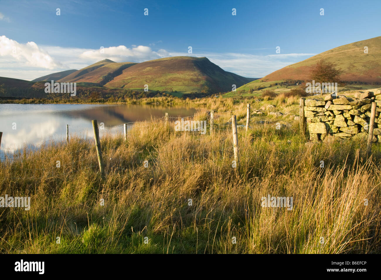 Tewet hi-res stock photography and images - Alamy