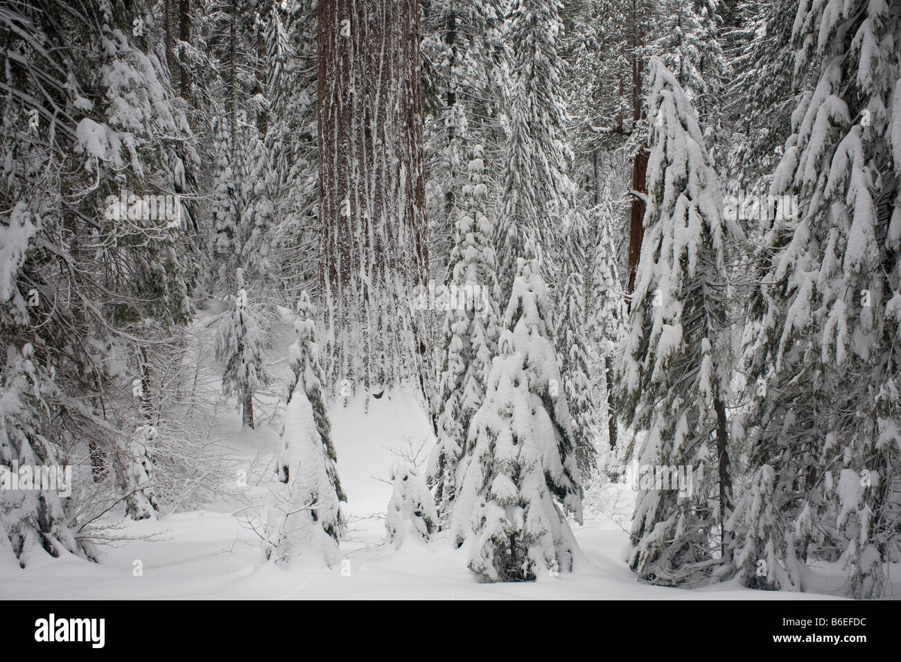 Grove crane hi-res stock photography and images - Alamy