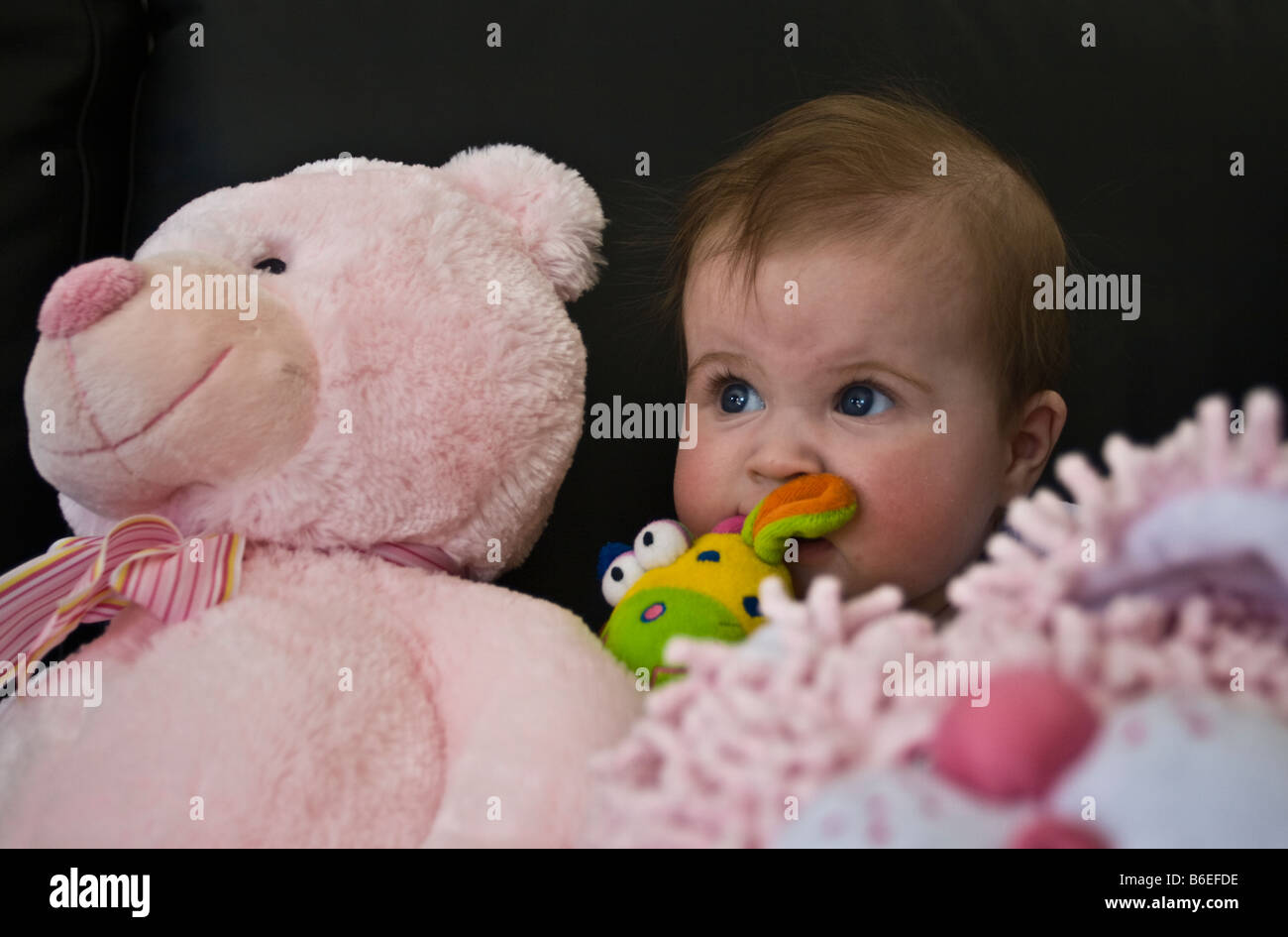 Baby girl with Teddy Bears Stock Photo - Alamy